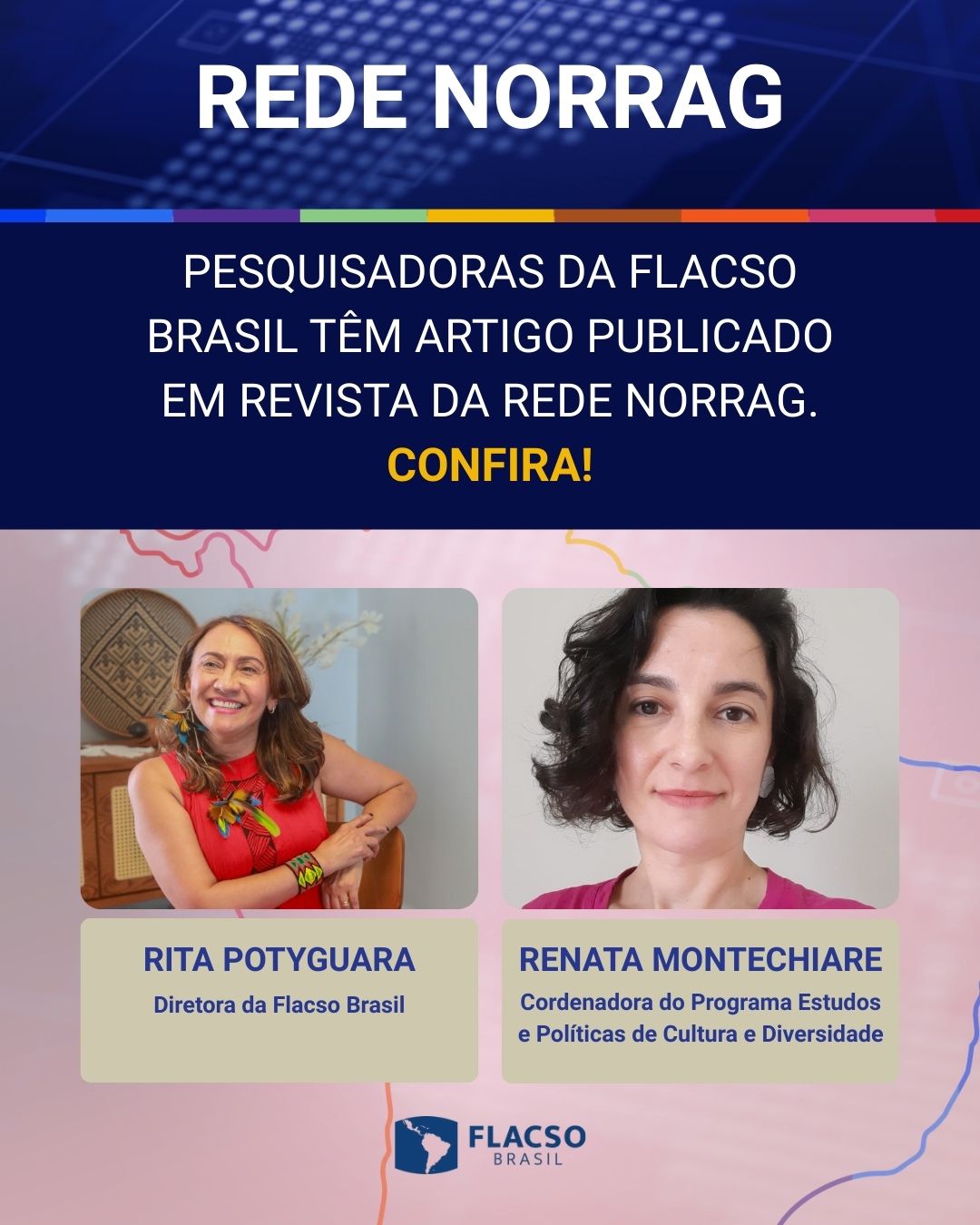 Pesquisadoras da Flacso Brasil têm artigo publicado em revista da rede ...
